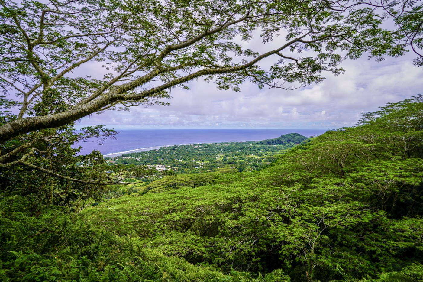 About Raemaru Trek: A Short & Easy Hike On Rarotonga (2026).